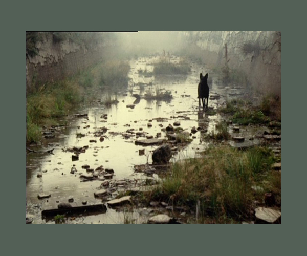 Tarkovsky: Films, Stills, Polaroids & Writings – COPYRIGHT Bookshop