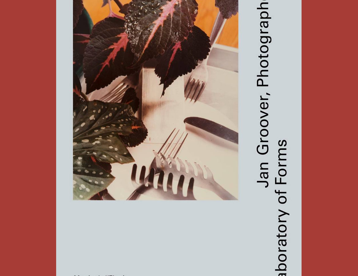 Jan Groover, Photographer: Laboratory of Forms – COPYRIGHT Bookshop