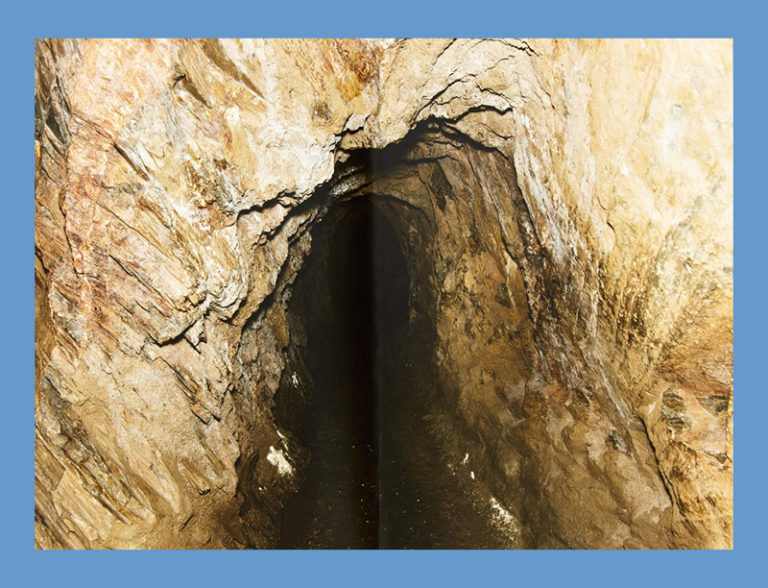 Lisa Barnard: The Canary and the Hammer – COPYRIGHT Bookshop