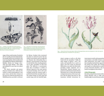 Maria Sibylla Merian: Changing the Nature of Art and Science ...