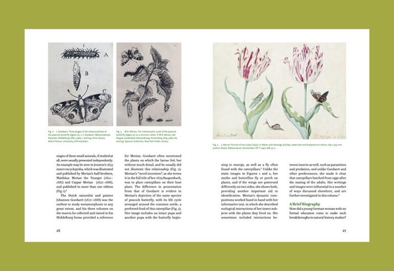 Maria Sibylla Merian: Changing the Nature of Art and Science ...