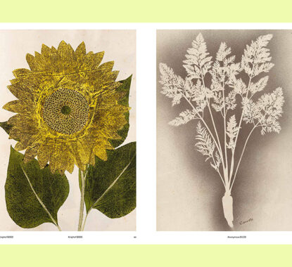 Capturing Nature: 150 Years of Nature Printing – COPYRIGHT Bookshop