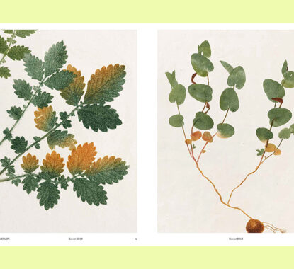Capturing Nature: 150 Years of Nature Printing – COPYRIGHT Bookshop