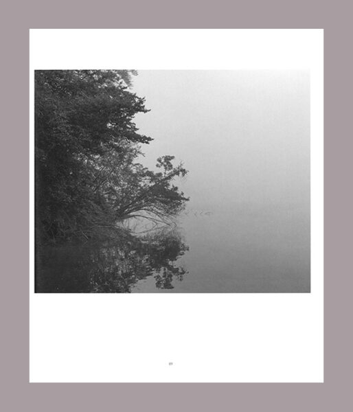 Kristine Potter: Dark Waters – COPYRIGHT Bookshop