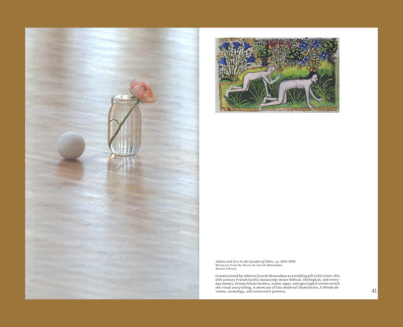 Reluctant Gardener – COPYRIGHT Bookshop